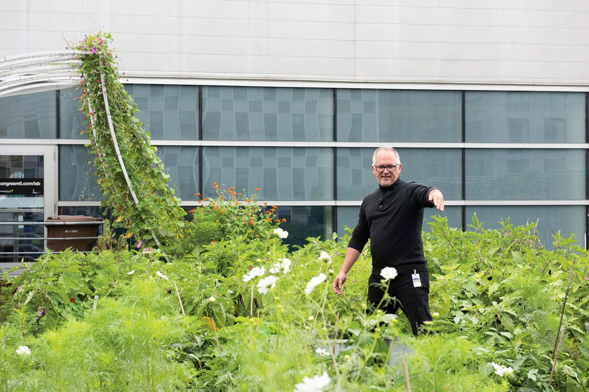 Le succès de l'agriculture urbaine - Québec Science