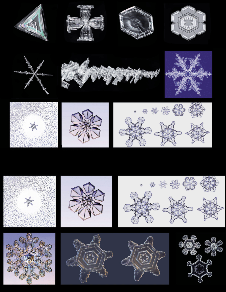 Les flocons de neige comme vous ne les avez jamais vus! - Québec Science